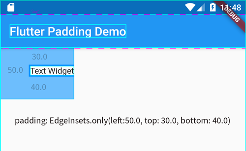 Ultimate Guide Flutter Padding Widget Example With Tutorial Androidride