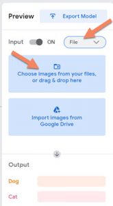 Flutter Machine Learning App Tutorial - Dog vs Cat Detector - Kaggle Machine Learning Projects ...